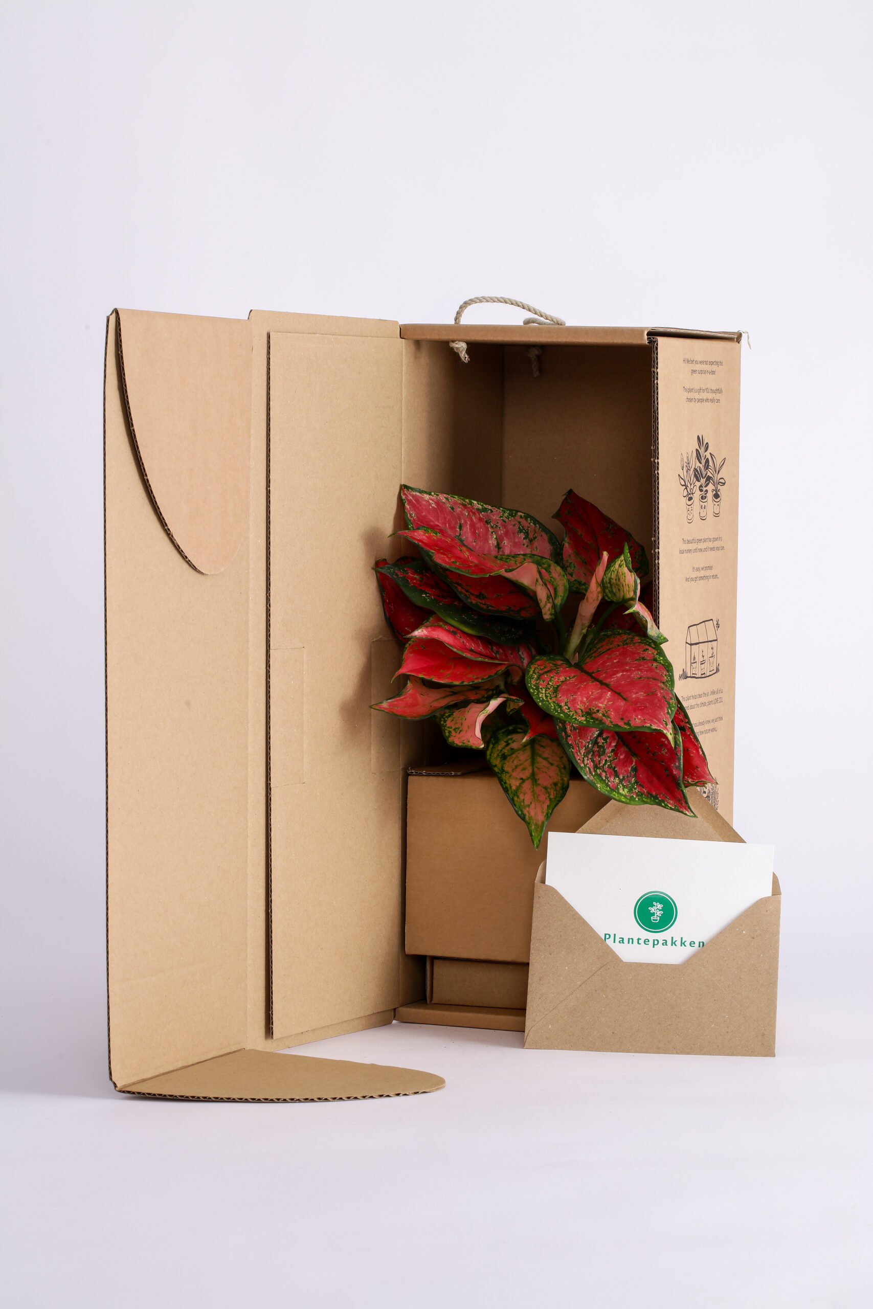 Plantepakke – Gaven der gror - Plantepakken